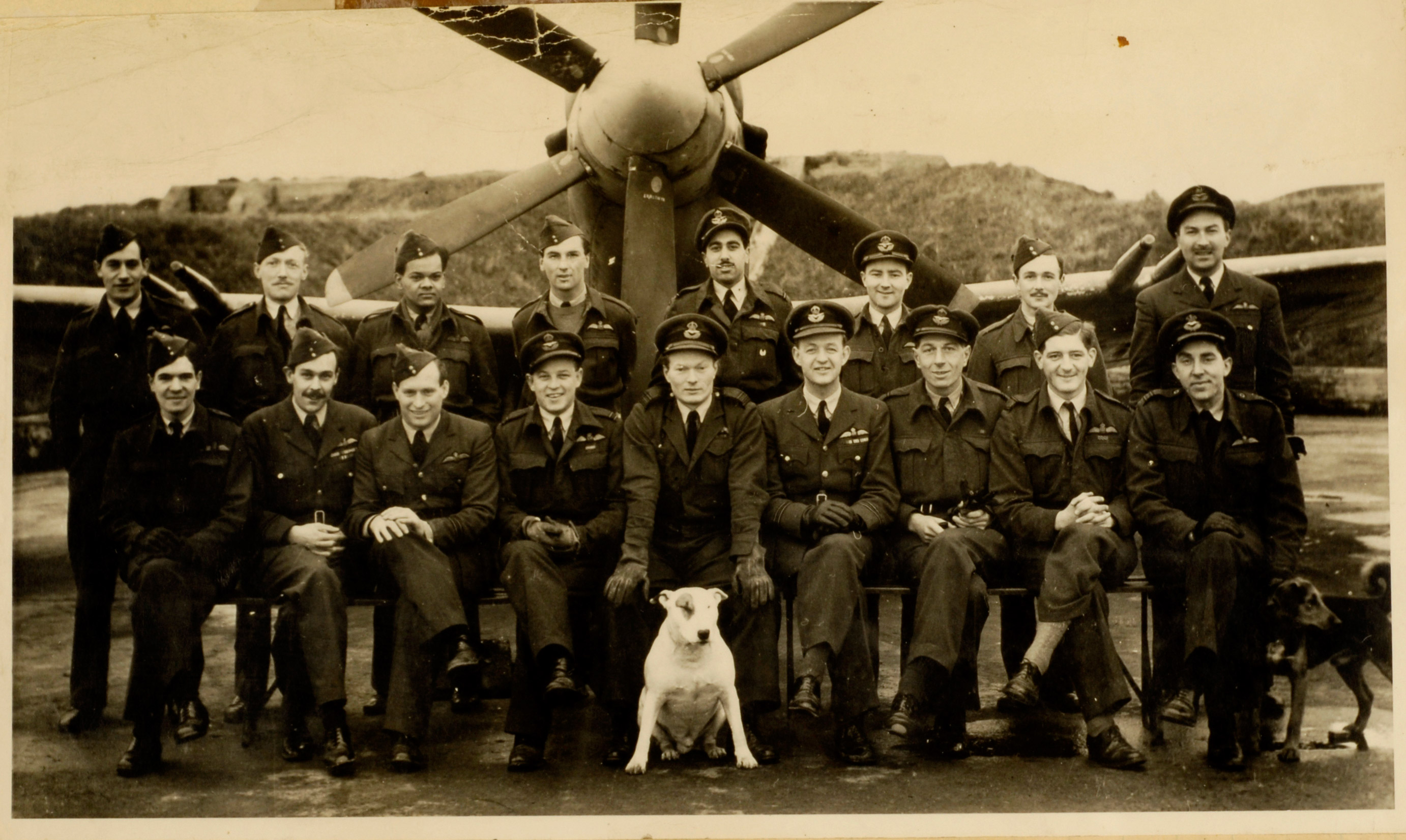 Spitfire pilots and their dogs | Hush-Kit Aviation World