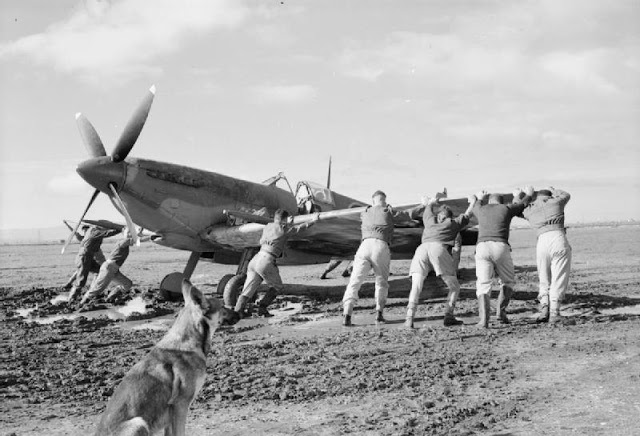 Spitfire pilots and their dogs | Hush-Kit