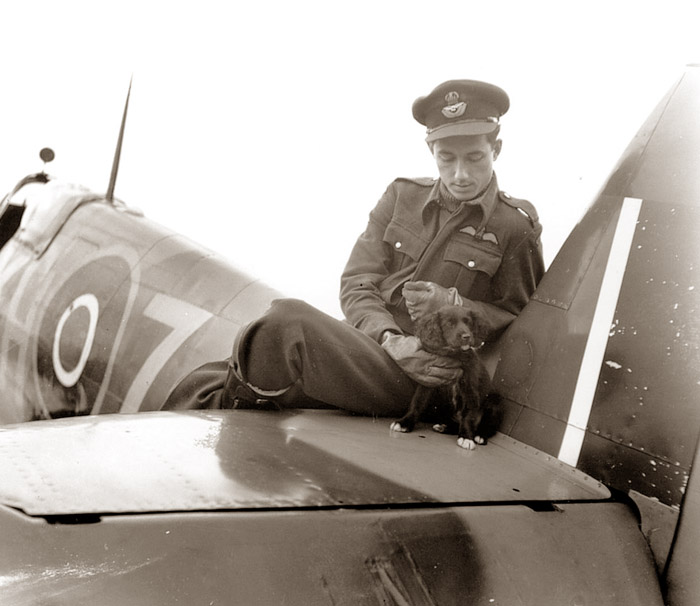 Spitfire pilots and their dogs | Hush-Kit