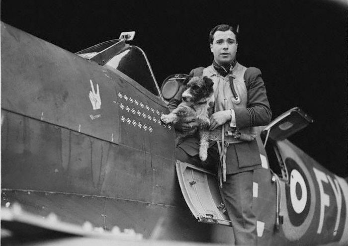 Spitfire pilots and their dogs | Hush-Kit Aviation World