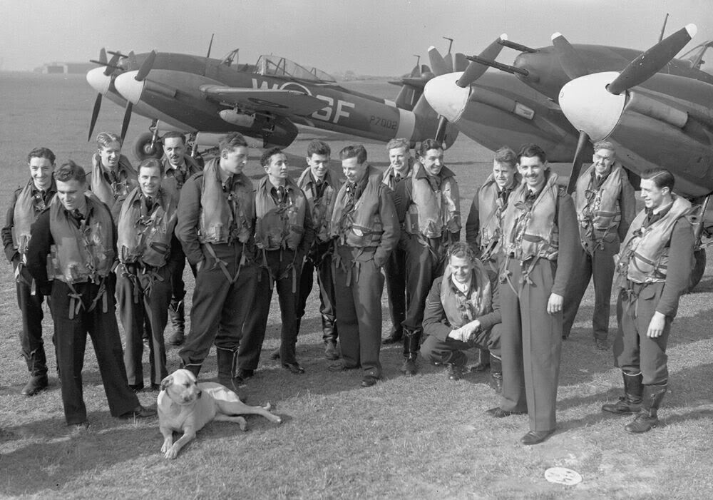 No.137 Squadron mascot dog with Whirlwinds, 1943 | Hush-Kit