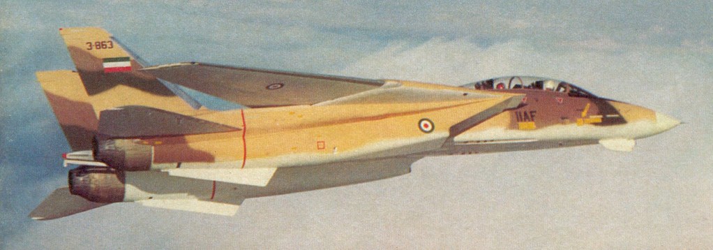 The story of the F-20 Tigershark (including pilot interview) | Hush-Kit