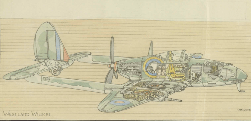 Was the WW2 Westland Wildcat a super-fighter design that fell into Nazi ...